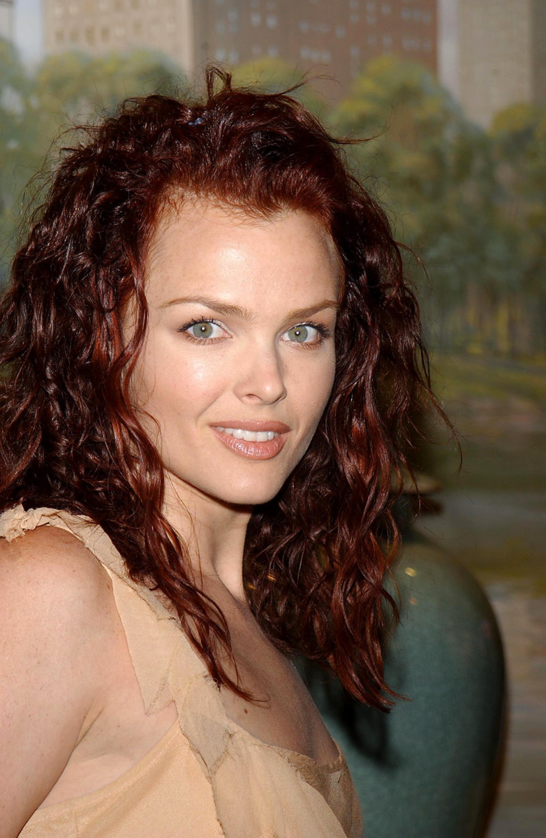 Dina Meyer Wallpapers